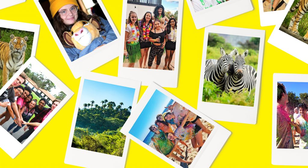 MSA Mid Year Camp | MSA